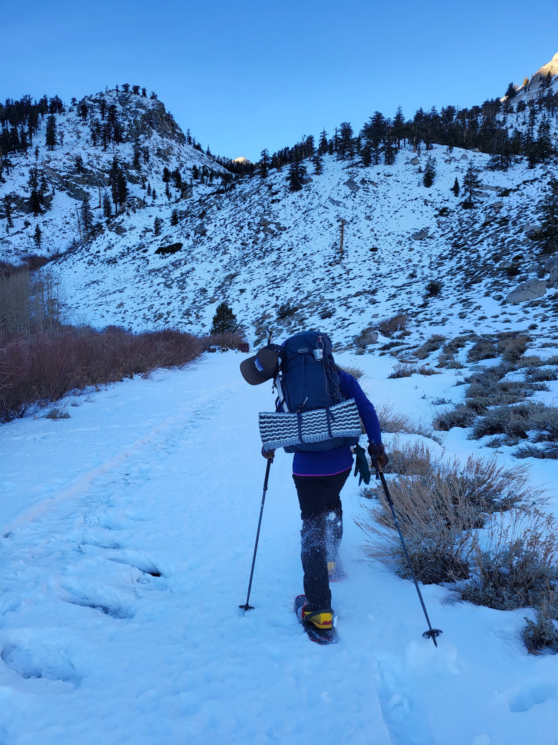 Frankie's First Winter Mountaineering Adventure - University Peak ...